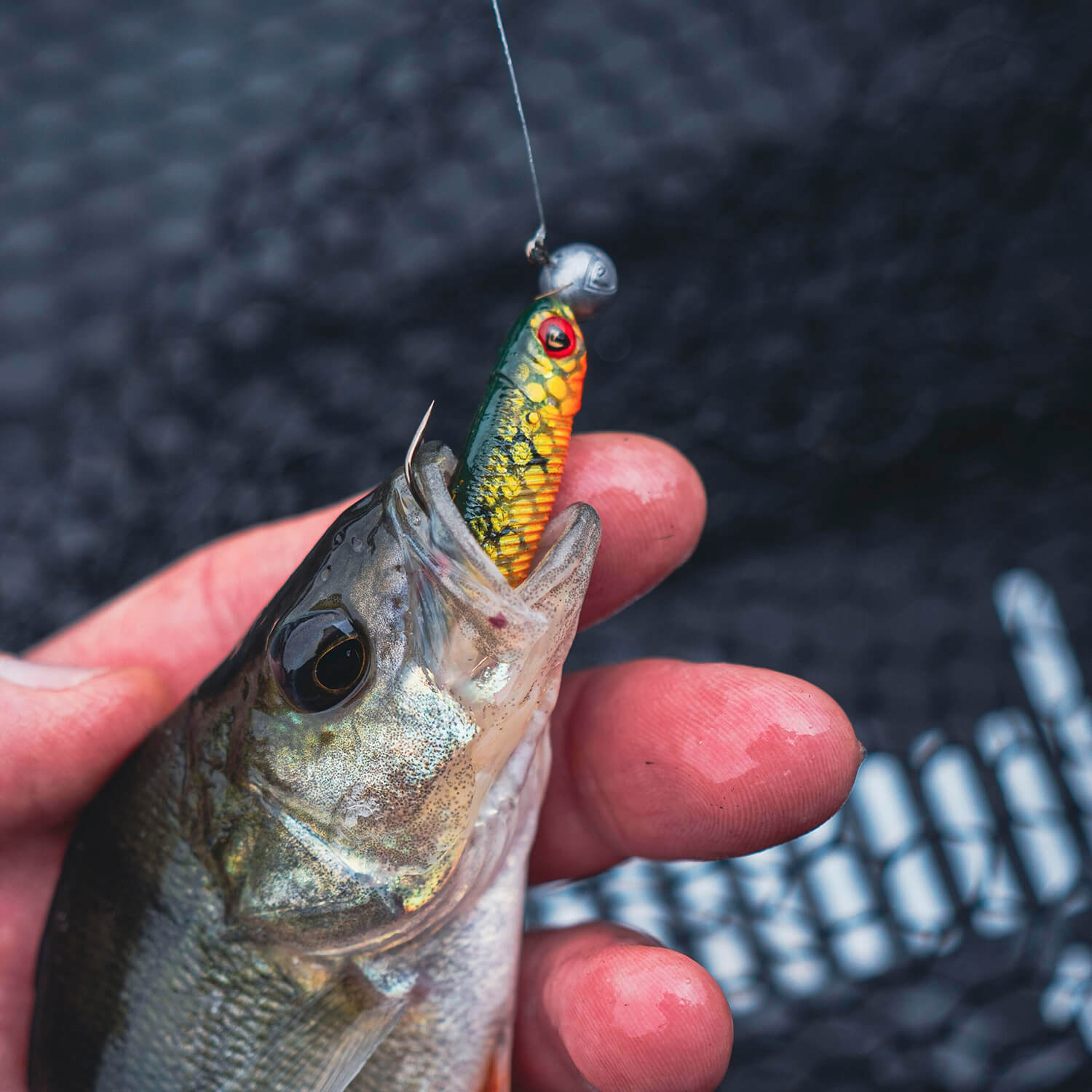 Fox Rage Micro Tiddler Fast Loaded Soft Plastic Lures Set 8cm buy by ...